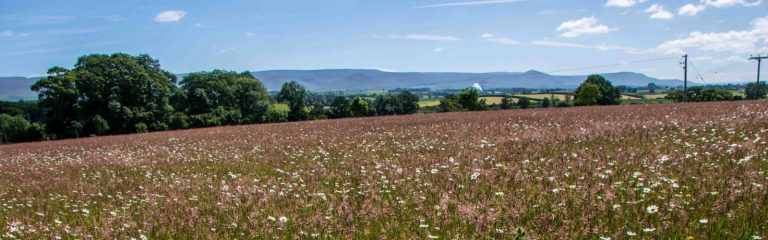 Temple Sowerby Village | "Queen of Westmorland Villages"
